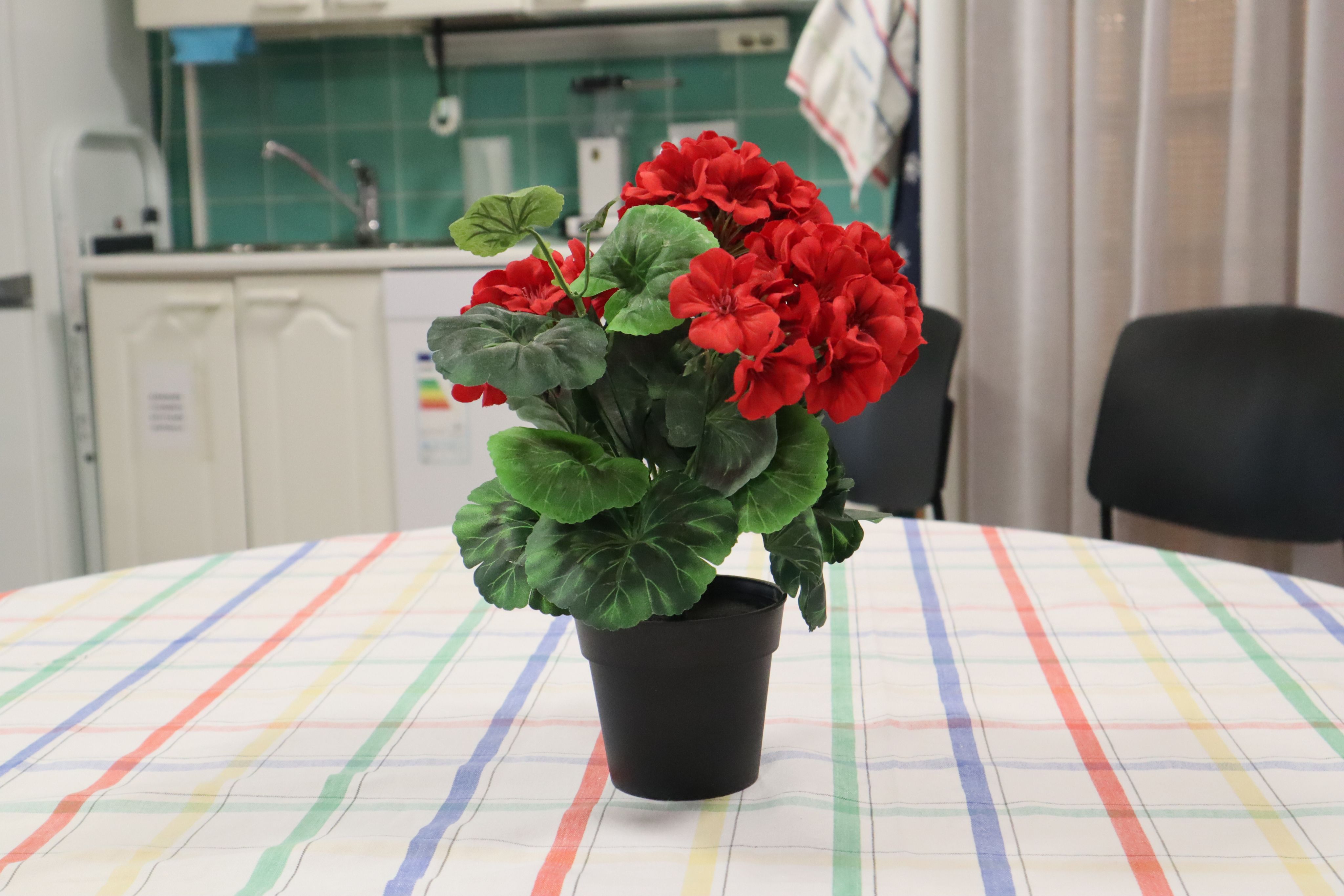 Koti yhteisön keskellä